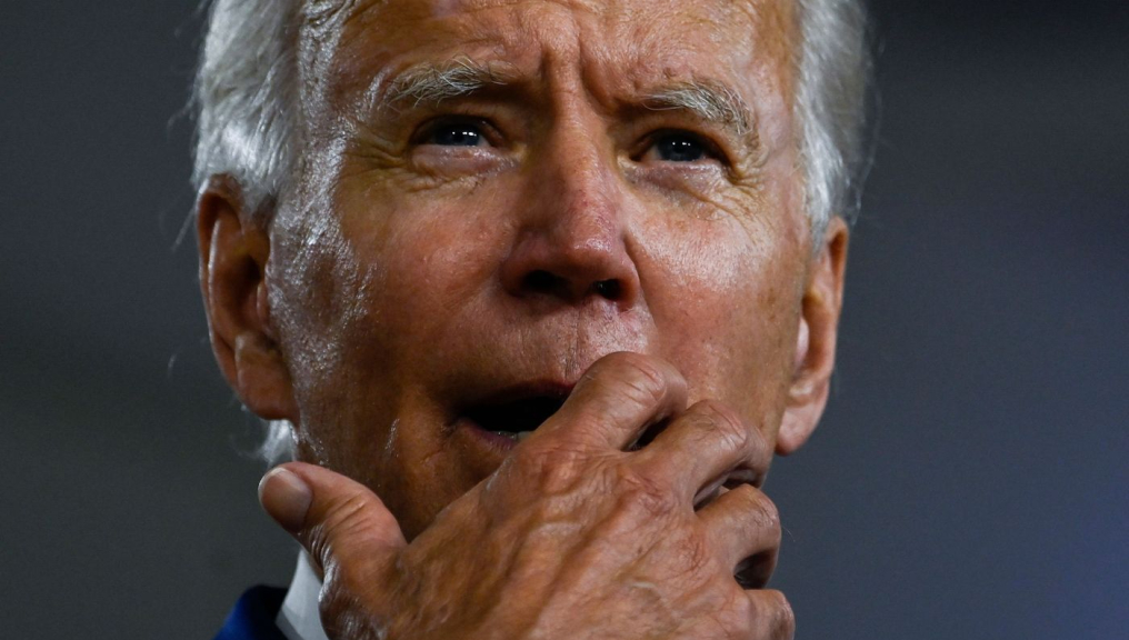 Felix Rex: News from the bowels of the Internet